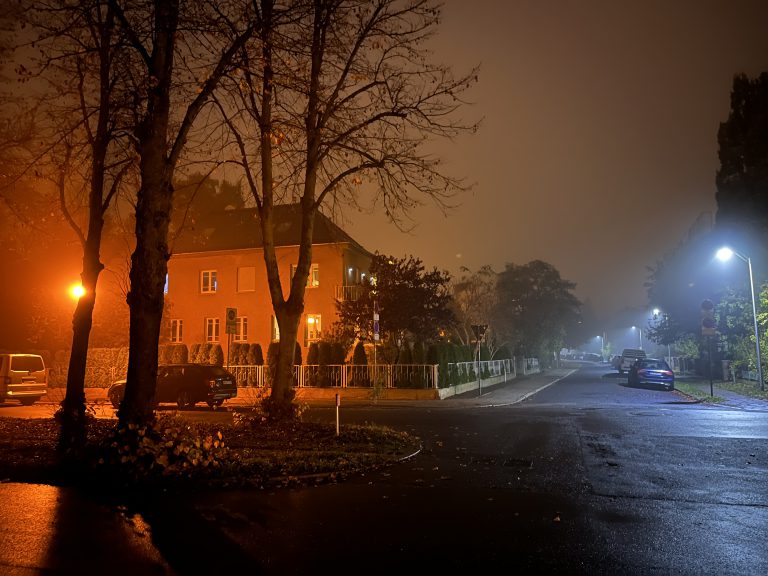 Light pollution and bat protection – current state of knowledge, need ...