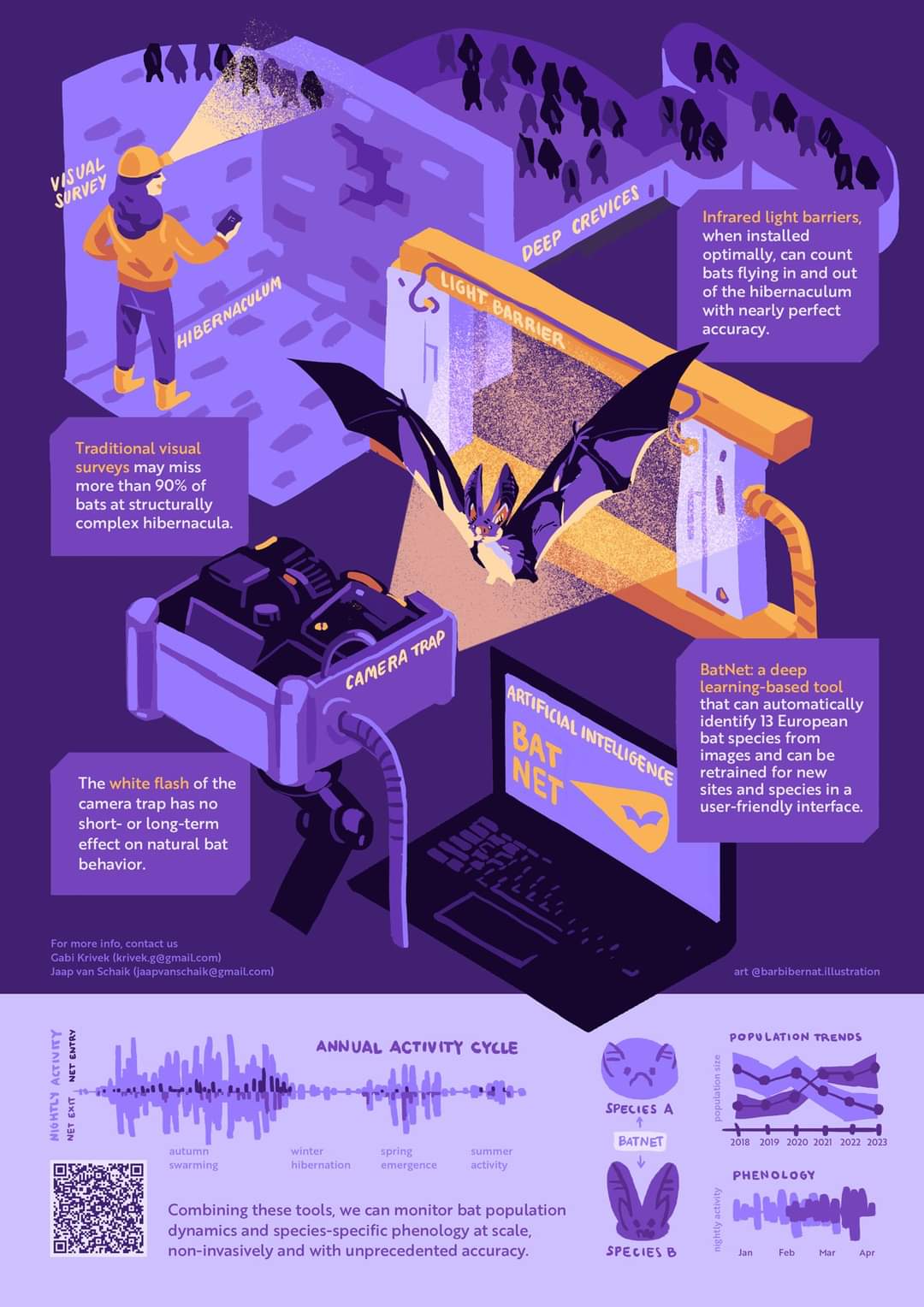 BatNet: ein auf Deep Learning basierendes Tool zur automatischen ...